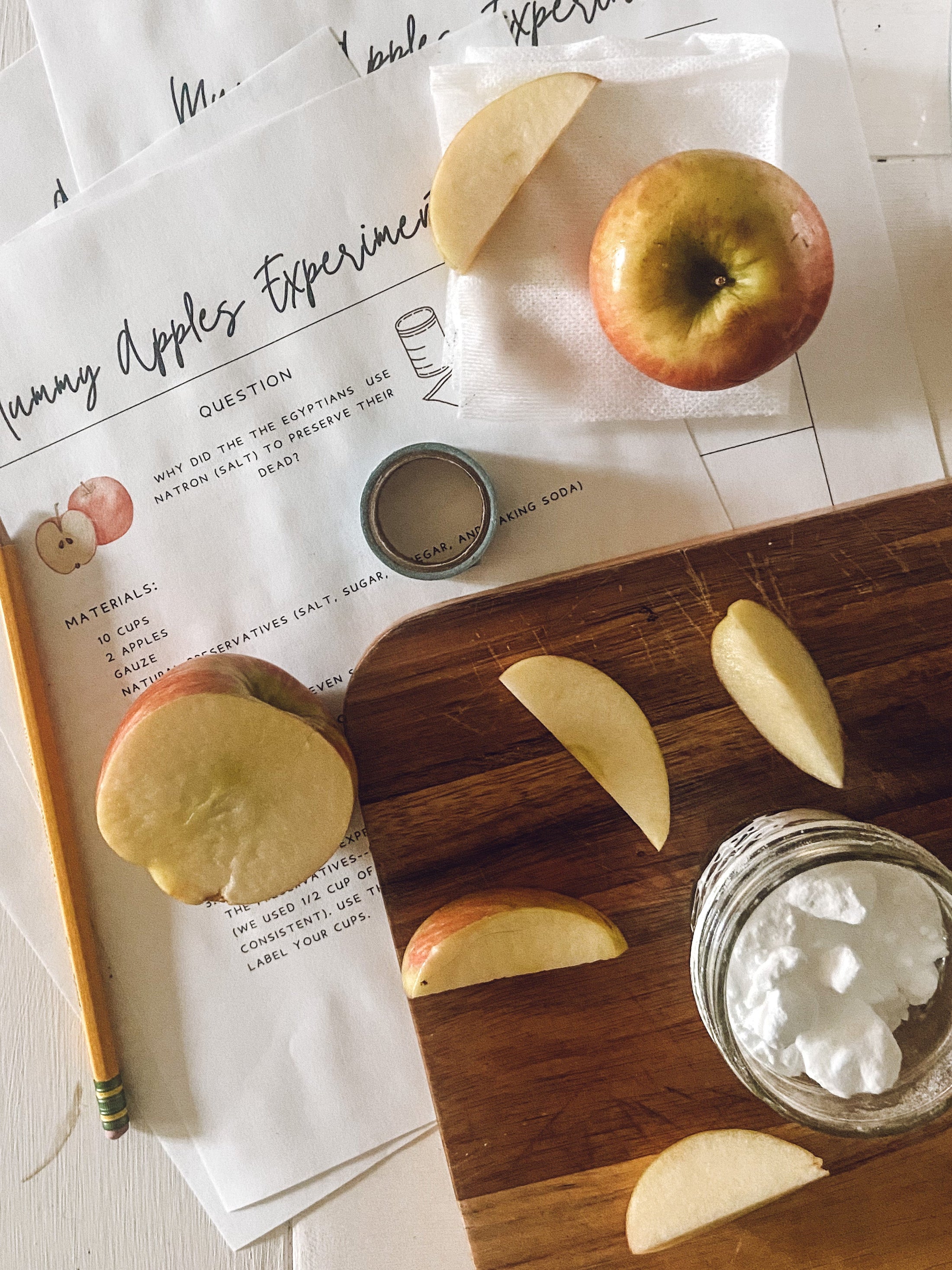 Mummified Apples Experiment--A Simple Science Experiment for Ages 4 ...